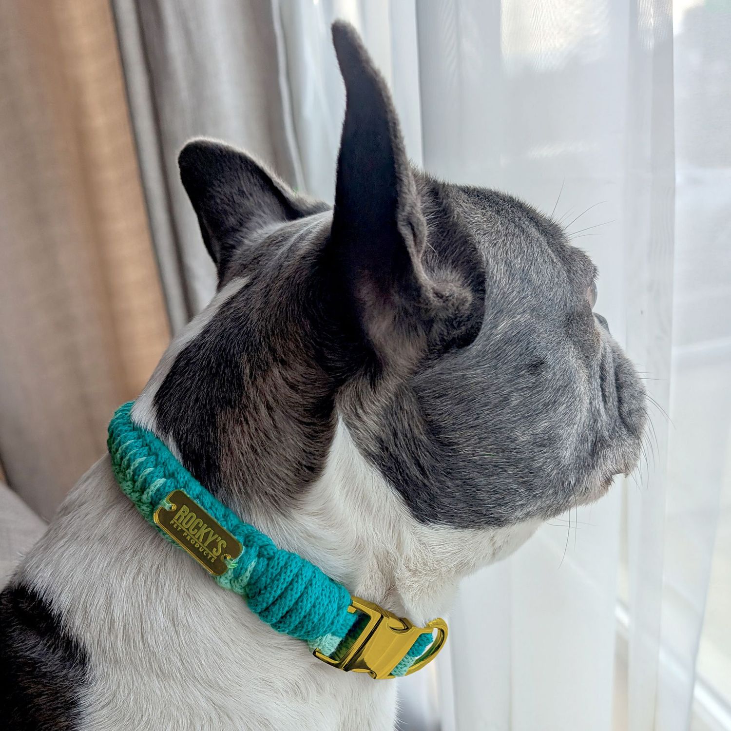 Dog Collar Crafting Kits – Rocky's Pet Products